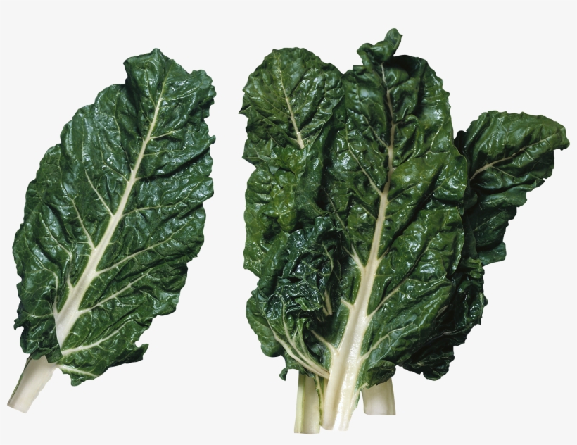 Leafy Greens Transparent Background PNG Image | Transparent PNG Free ...