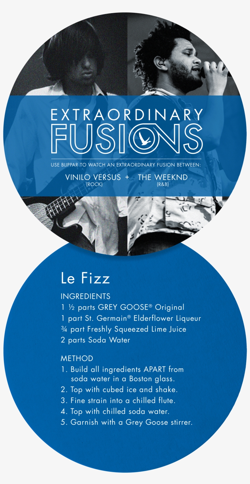 Greygoose Idea2 Coaster - Grey Goose PNG Image | Transparent PNG Free ...