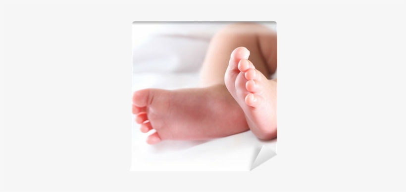 Neonate PNG Image | Transparent PNG Free Download on SeekPNG