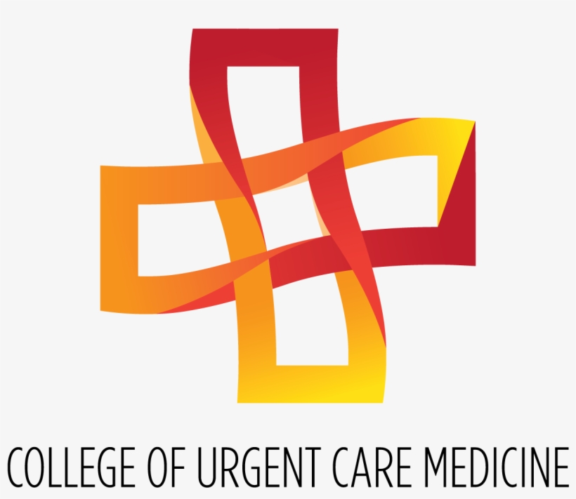 Logo Design By Rmd For This Project - Orange PNG Image | Transparent ...