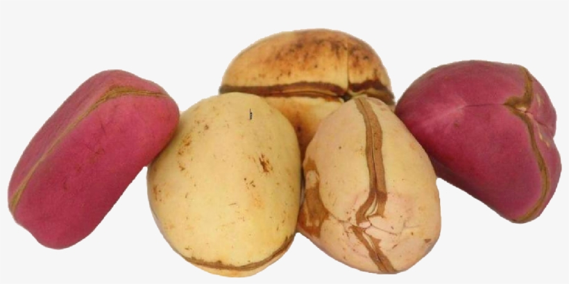 Kola Nuts Png - Kola Nut Png PNG Image | Transparent PNG Free Download ...