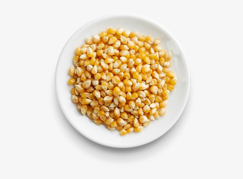 Pop Corn Kernels PNG Image | Transparent PNG Free Download on SeekPNG