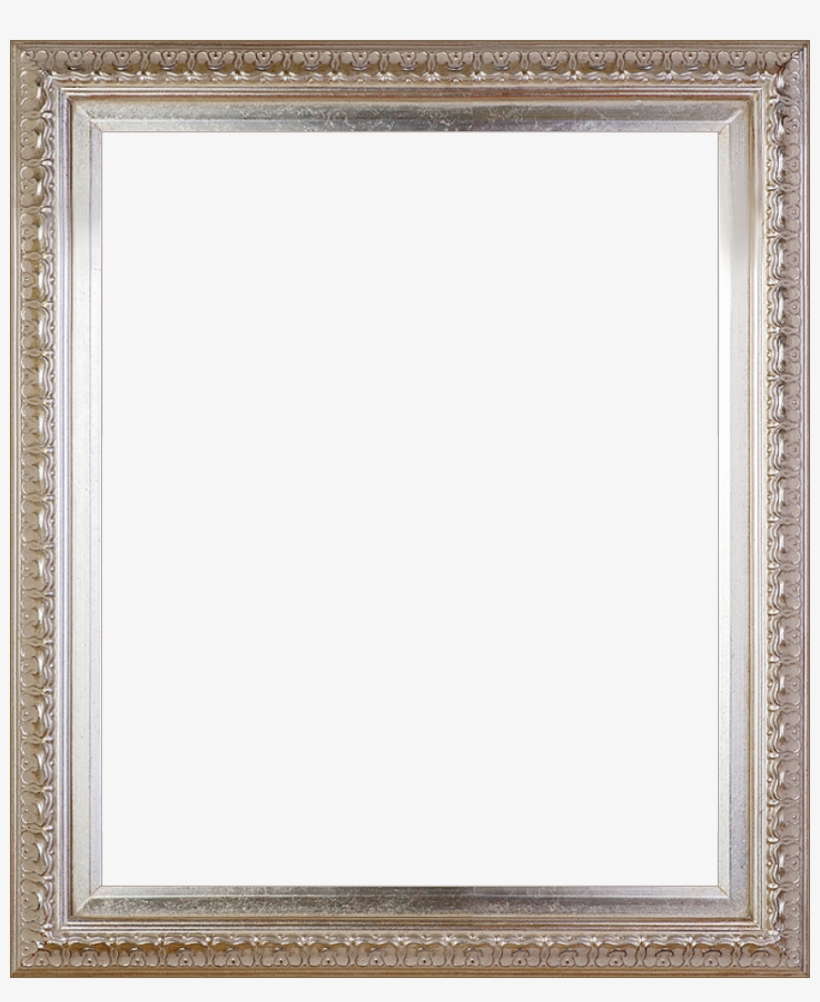 Elegant Champagne Frame - Elegant Champagne Frame 20"x24" Museum Frame ...
