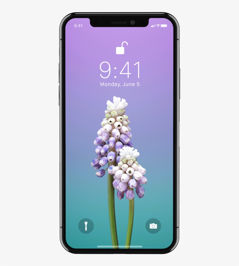 Apple Iphone X - Iphone X PNG Image | Transparent PNG Free Download on ...