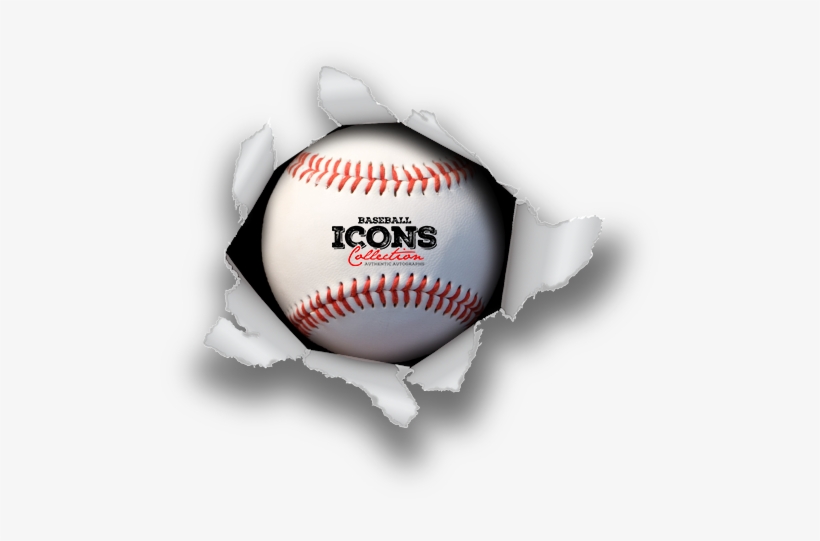 Image - Baseball PNG Image | Transparent PNG Free Download on SeekPNG