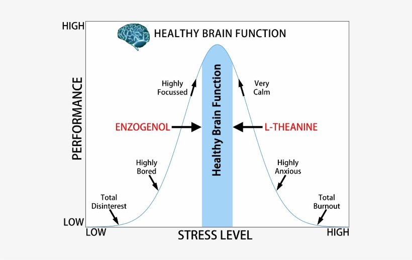 Stress Performance Bell Curve Taps-894 - Enzo Nutraceuticals Ltd PNG ...