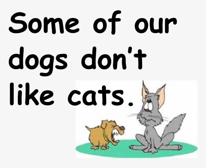 Dislike Cats PNG Image | Transparent PNG Free Download on SeekPNG