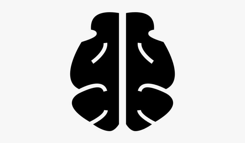 Download Human Brain Vector - Vector Graphics | Transparent PNG ...