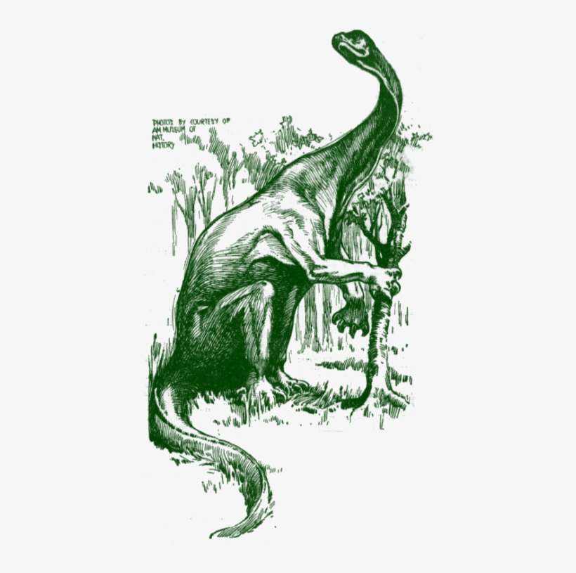The Brontosaurus, Has It Survived - Lesothosaurus PNG Image ...