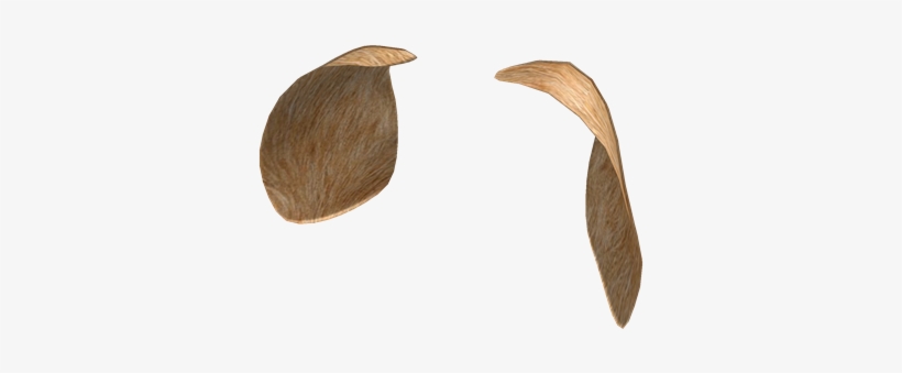 Dog Ears - Dog Ears Transparent Png PNG Image | Transparent PNG Free ...