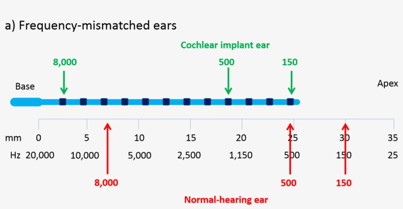 Frequency Mismatch Could Make It Difficult For People - Sound Frequency ...