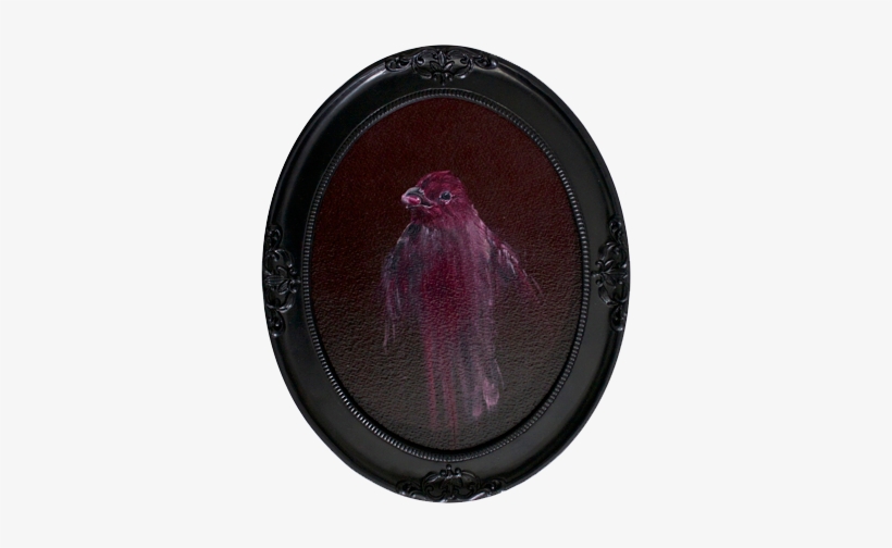 House Finch PNG Image | Transparent PNG Free Download on SeekPNG