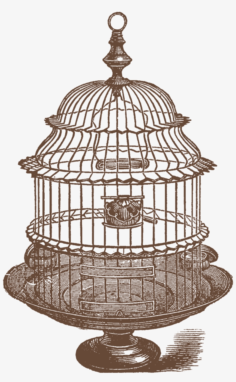 Jpeg - Birdcage PNG Image | Transparent PNG Free Download on SeekPNG
