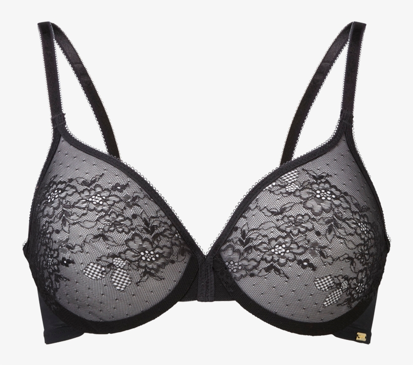 Bra PNG Image | Transparent PNG Free Download on SeekPNG