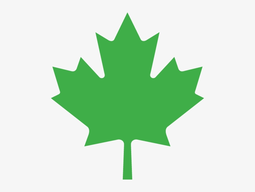 Green Maple Leaf
