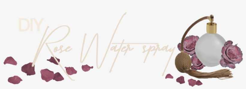 Rose Water PNG Image | Transparent PNG Free Download on SeekPNG