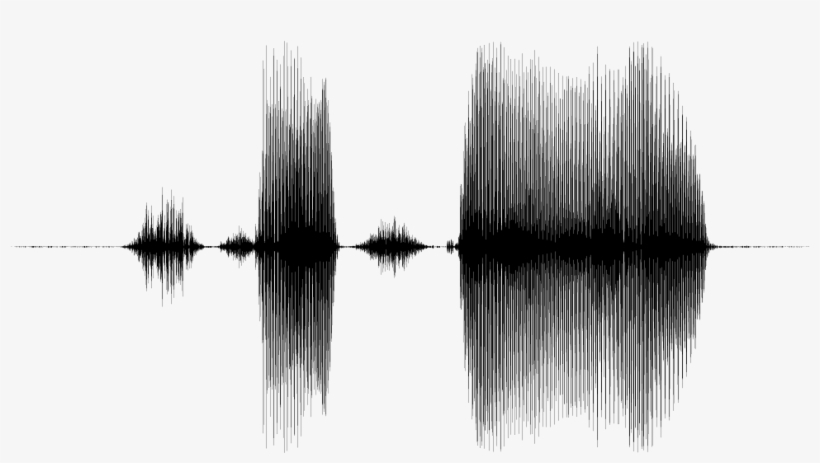 Audio Wave File - Reflection PNG Image | Transparent PNG Free Download ...