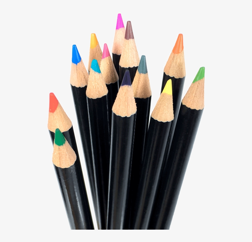 Colorit Premium Pencils Just Like Everything Else - Coloring Book PNG ...