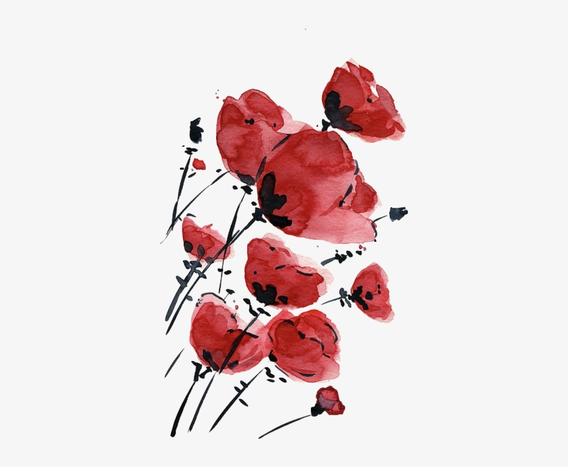 Img 5858 - Red Flowers Drawing PNG Image | Transparent PNG Free ...