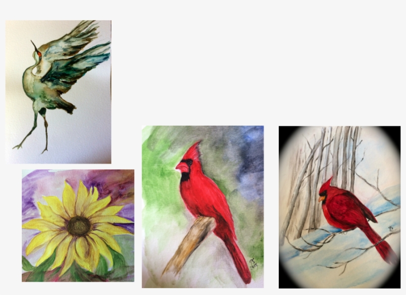 Plus Frame PNG Image | Transparent PNG Free Download on SeekPNG