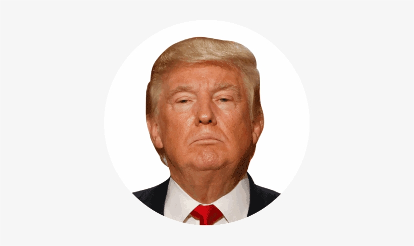 15 Donald Trump Head Png For Free Download On Mbtskoudsalg - Building ...