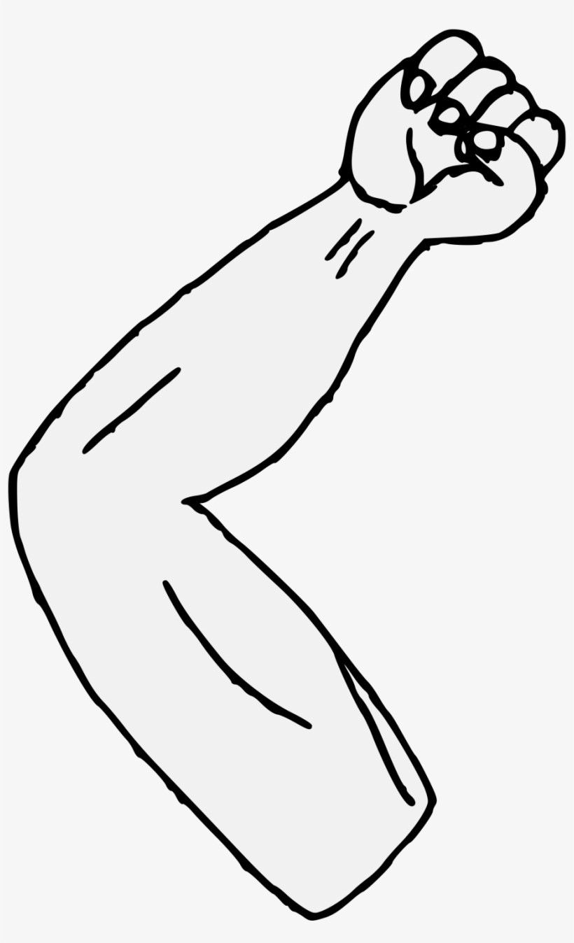 Arm Embowed - Arms Drawing Png PNG Image | Transparent PNG Free ...