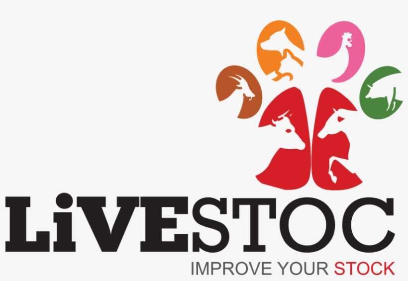 Logo - Privacy Policy PNG Image | Transparent PNG Free Download on SeekPNG