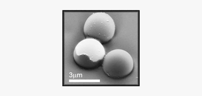 Download Wetting Properties Of Pt-coated Particles At Water/oil ...