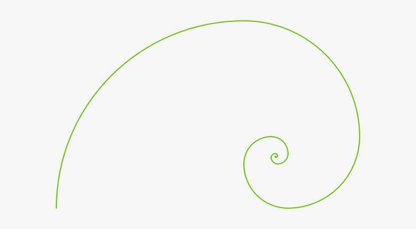 Fibonacci Spiral Pattern Vector