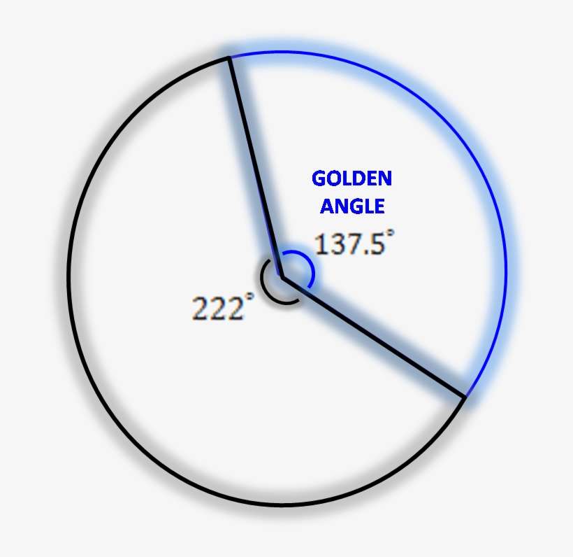137.5 Degrees Golden Angle PNG Image | Transparent PNG Free Download on ...
