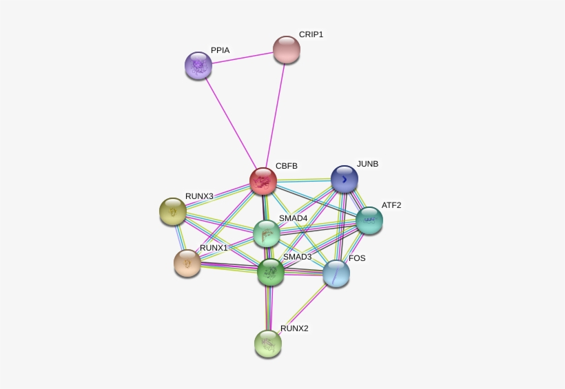 Circle PNG Image | Transparent PNG Free Download on SeekPNG