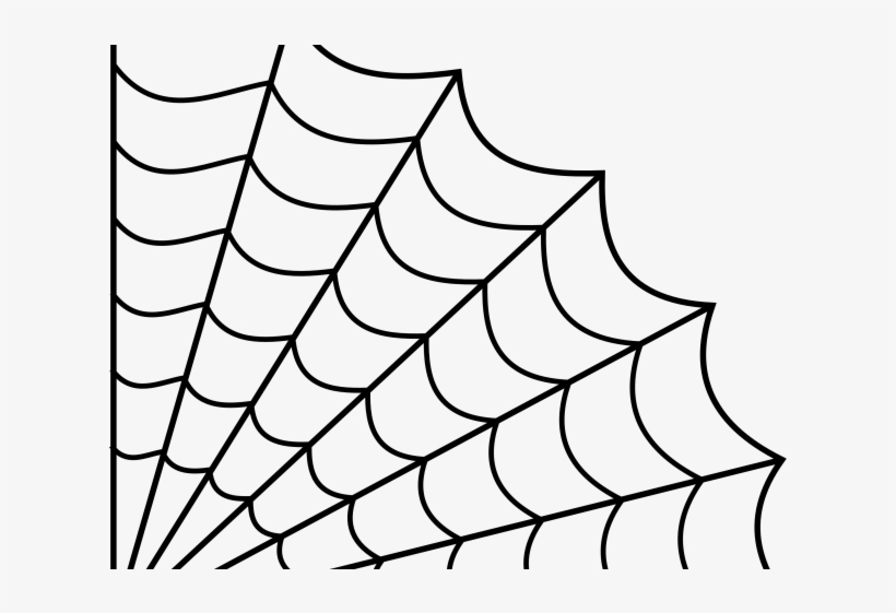 Drawn Spider Web Transparent Background - Spider Web Line Drawing PNG ...