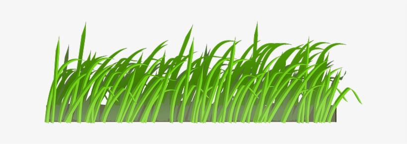 Cartoon-37282 640 - Grass Cartoon Transparent PNG Image | Transparent ...