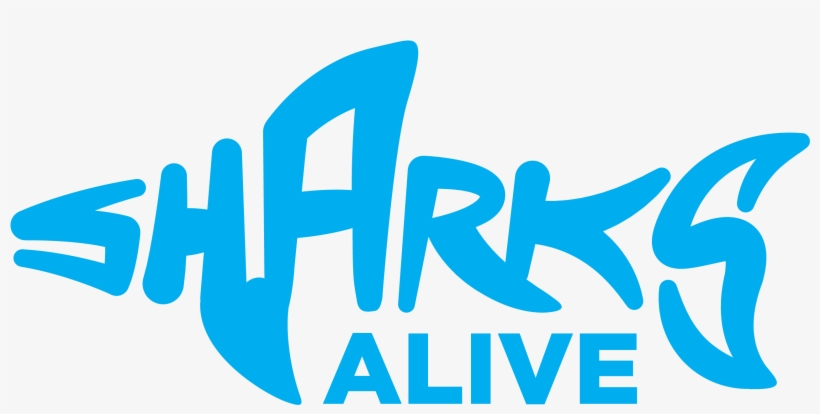 Sharks Alive - Sharks Font PNG Image | Transparent PNG Free Download on ...