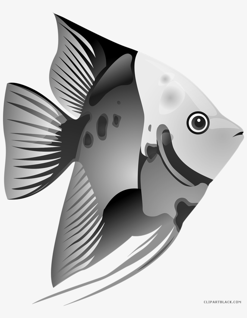 Tropical Fish Png PNG Images | PNG Cliparts Free Download on SeekPNG