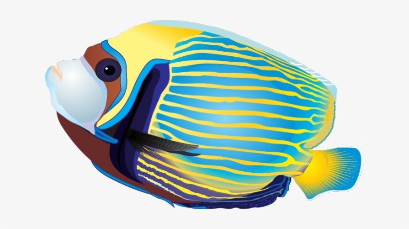 Clip Art Of A Tropical Fish - Tropical Fish Clip Art PNG Image ...