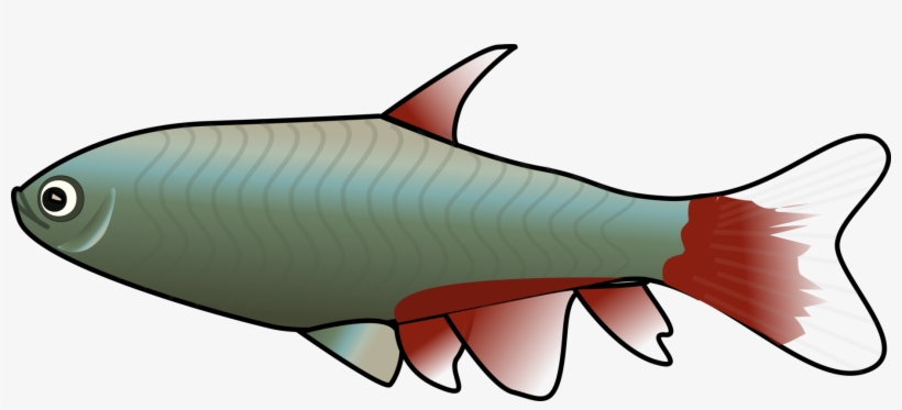 Animated Fish Clipart - Clipart Fish PNG Image | Transparent PNG Free ...