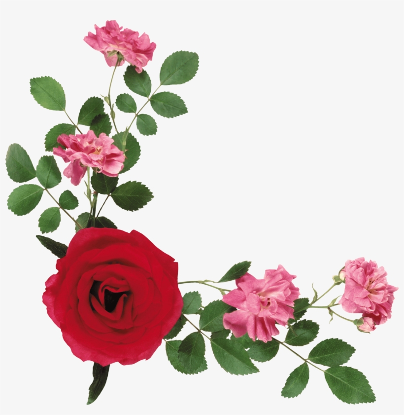 Peony Corner Border PNG Image | Transparent PNG Free Download on SeekPNG