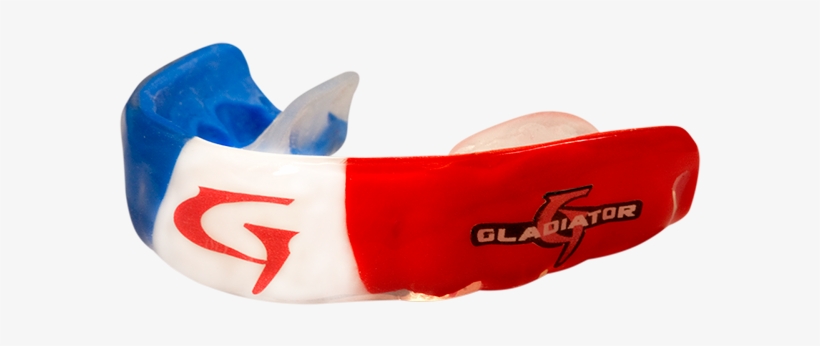 Gladiator Pro - Gladiator PNG Image | Transparent PNG Free Download on ...