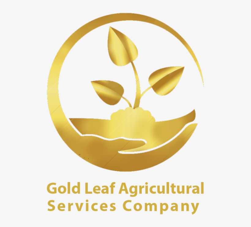 Download Gold Leaf - Gold | Transparent PNG Download | SeekPNG
