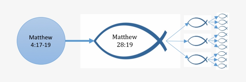 Fish - Circle PNG Image | Transparent PNG Free Download on SeekPNG