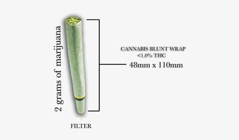 There Is Not Much That Stands As True To The Saying - Diagram Of A ...