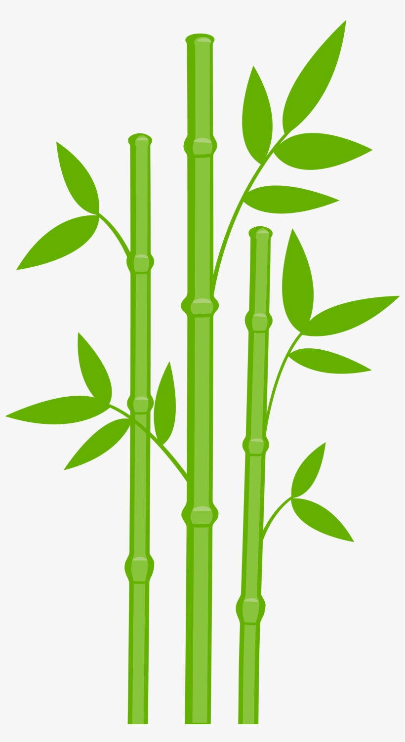 Panda Bear - Bamboo Clipart PNG Image | Transparent PNG Free Download ...