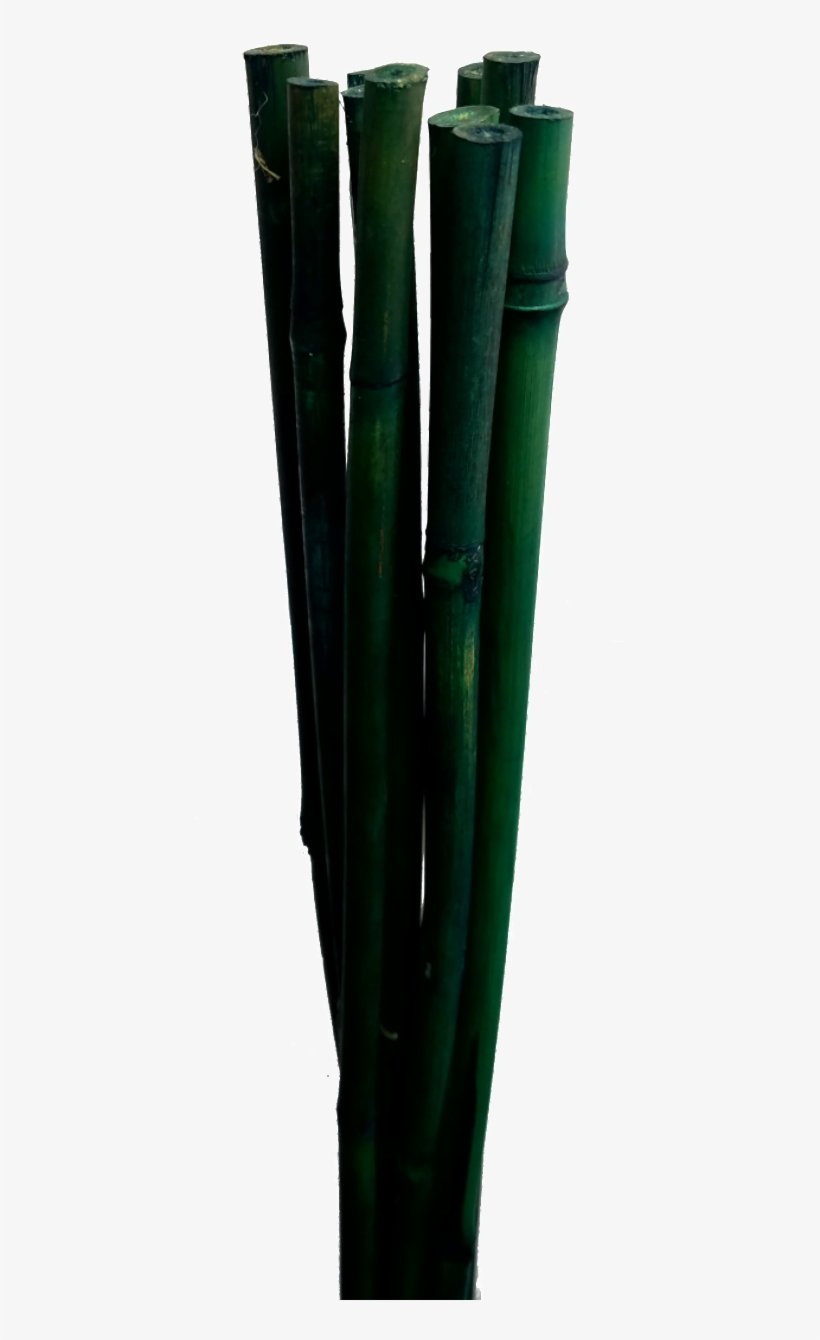 Bamboo Sticks X - Umbrella PNG Image | Transparent PNG Free Download on ...