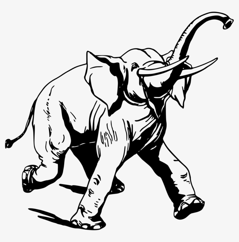 Elephants Drawing Lion African Bush Elephant Bull - Running Elephant ...