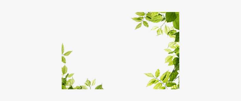 Leaves Frame Png - Green Leaves Frame Png PNG Image | Transparent PNG ...