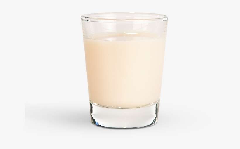 Bad Gramma - Greyhound PNG Image | Transparent PNG Free Download on SeekPNG