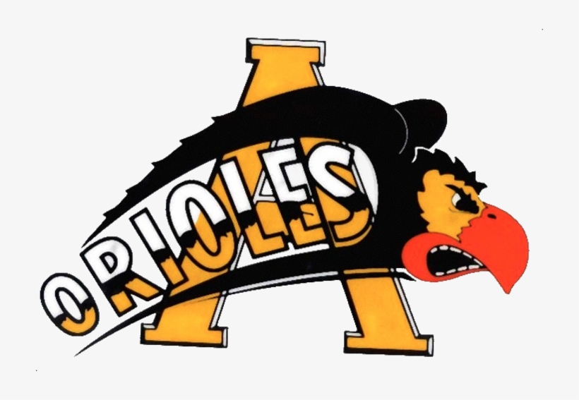 The Perry Meridian Falcons Defeat The Avon Orioles - Avon Indiana High ...