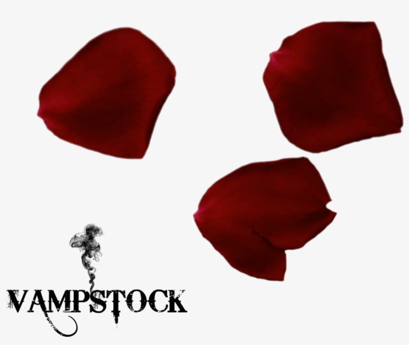 Black Rose Petals Png PNG Image | Transparent PNG Free Download on SeekPNG