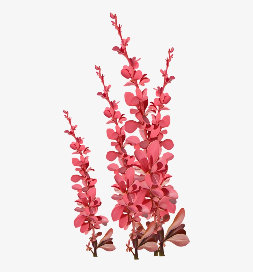 Pinterest PNG Image | Transparent PNG Free Download on SeekPNG